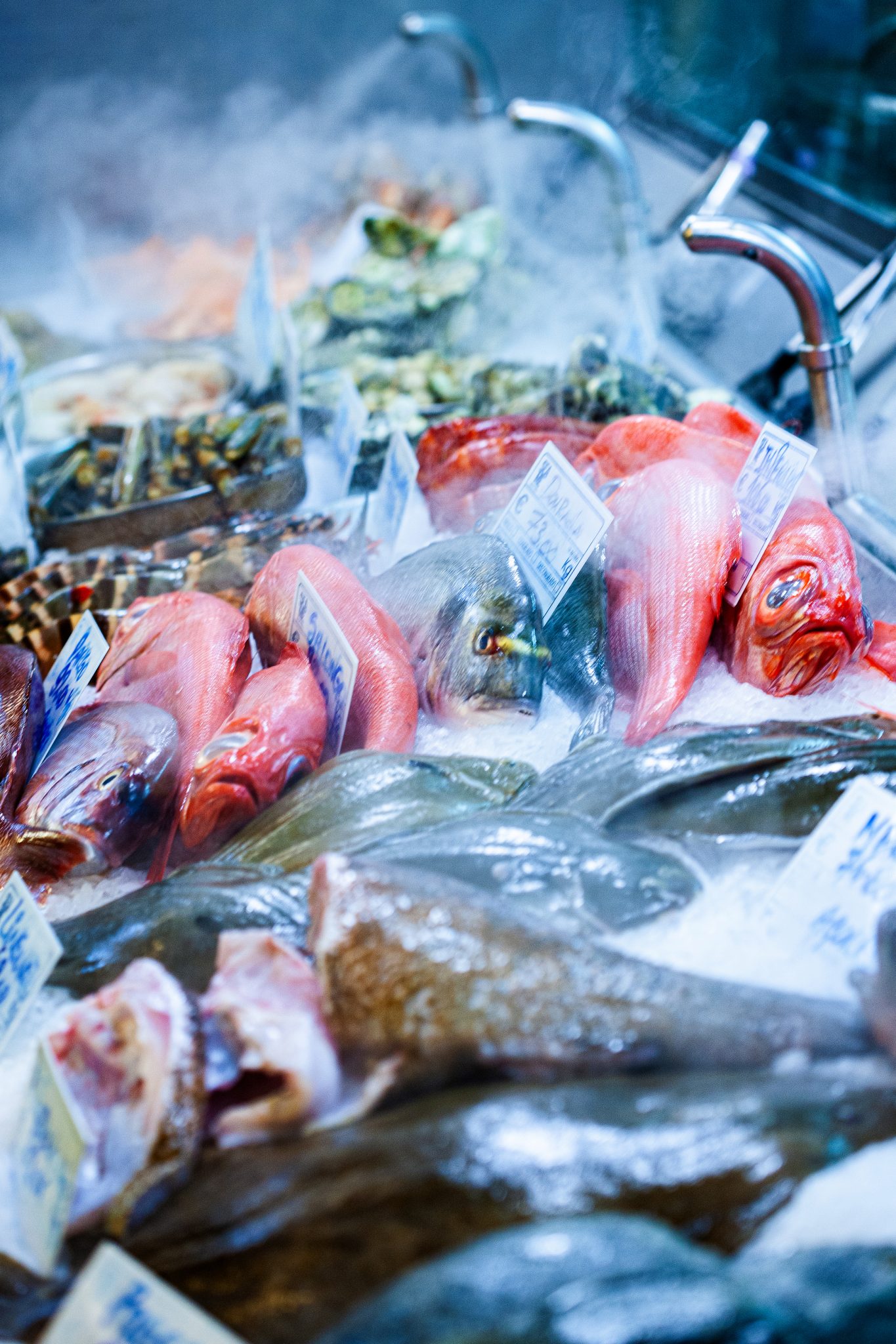 SEA ME Peixaria Moderna - Home